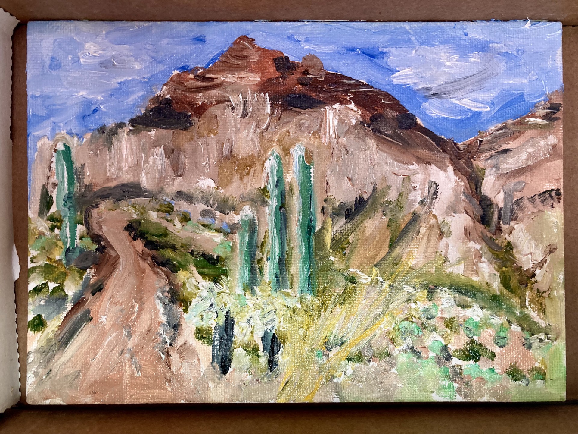 Gala River Canyon – Tree House Studio